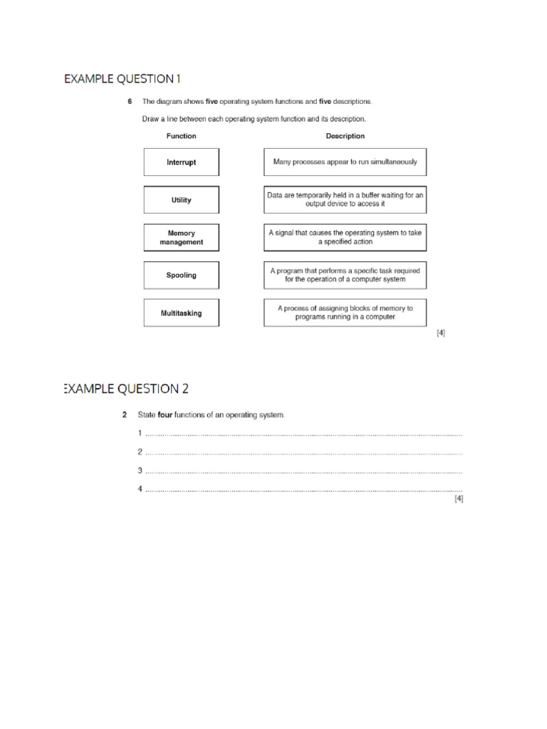 Grade 11 Assignment | PDF
