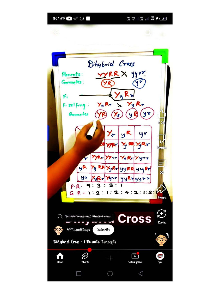 Image To PDF 20250106 16.21.25 | PDF