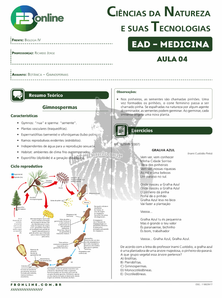 Teoria e Exercício - Aula 4 | PDF | Semente | Plantas