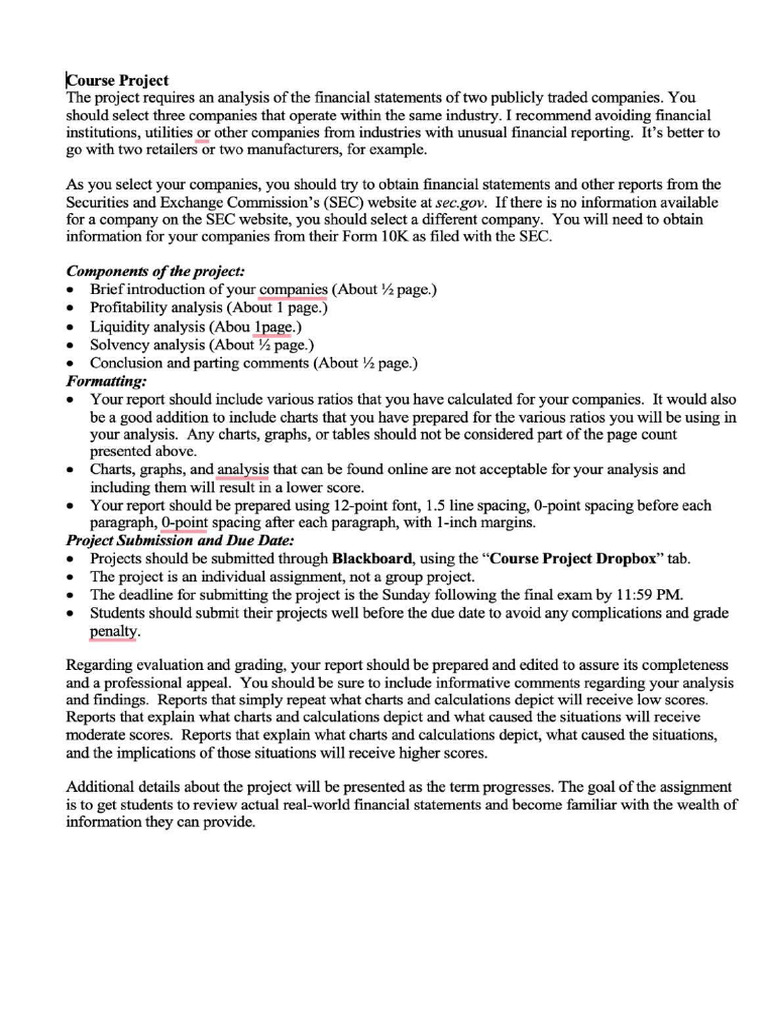 Financial Statement - Project | PDF