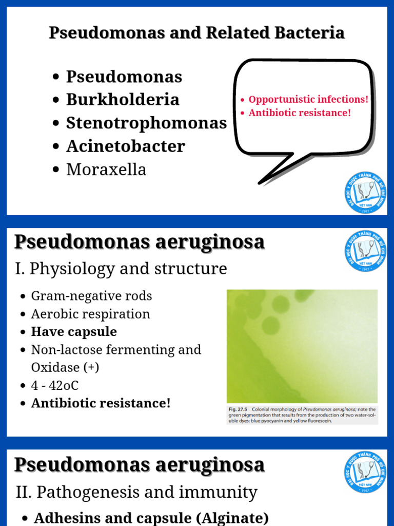 PSEUDOMONAS | PDF | Pseudomonas Aeruginosa | Pneumonia
