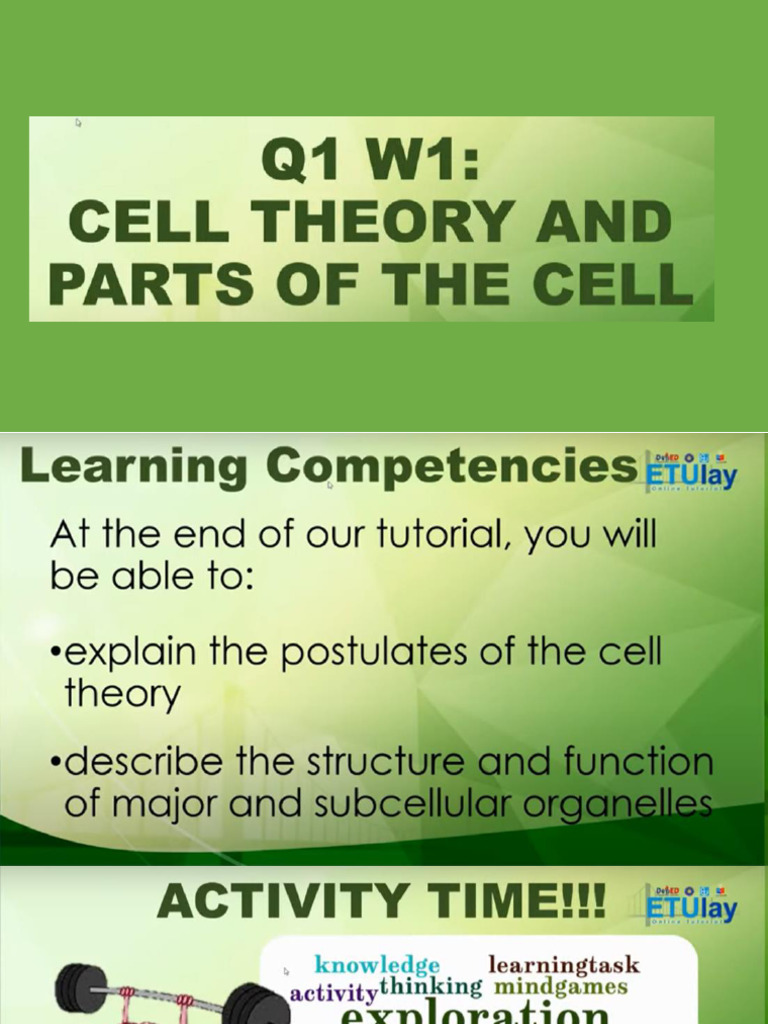 Cell-Theory Structure | PDF