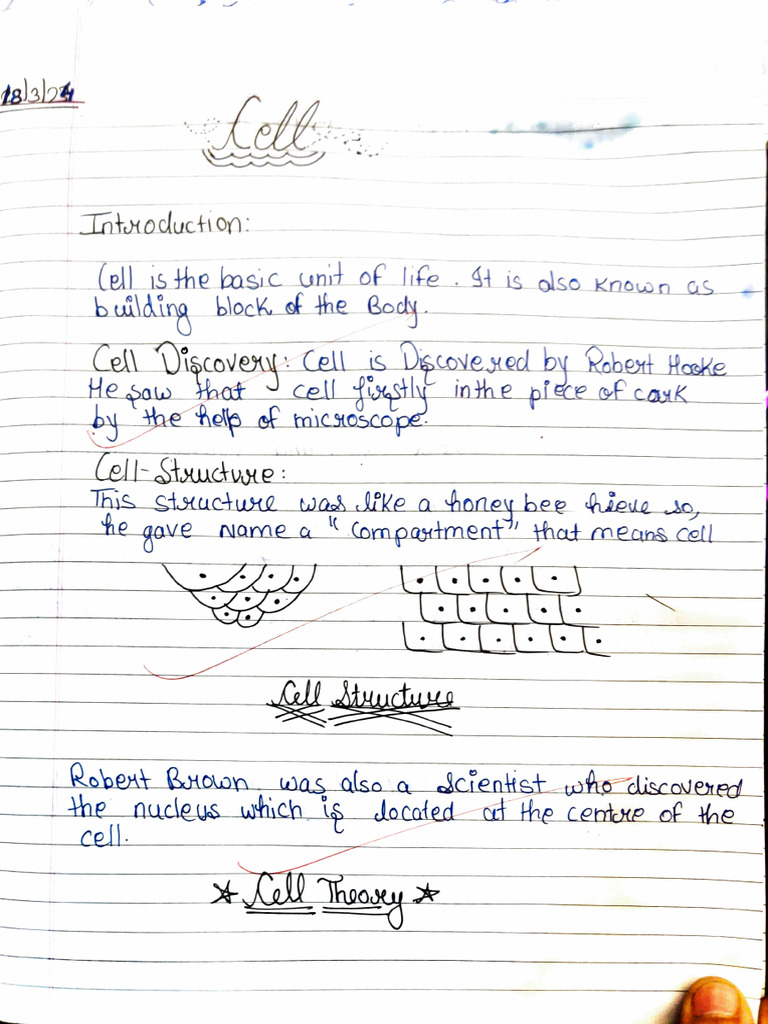 Cell Cycle. Class 10 | PDF