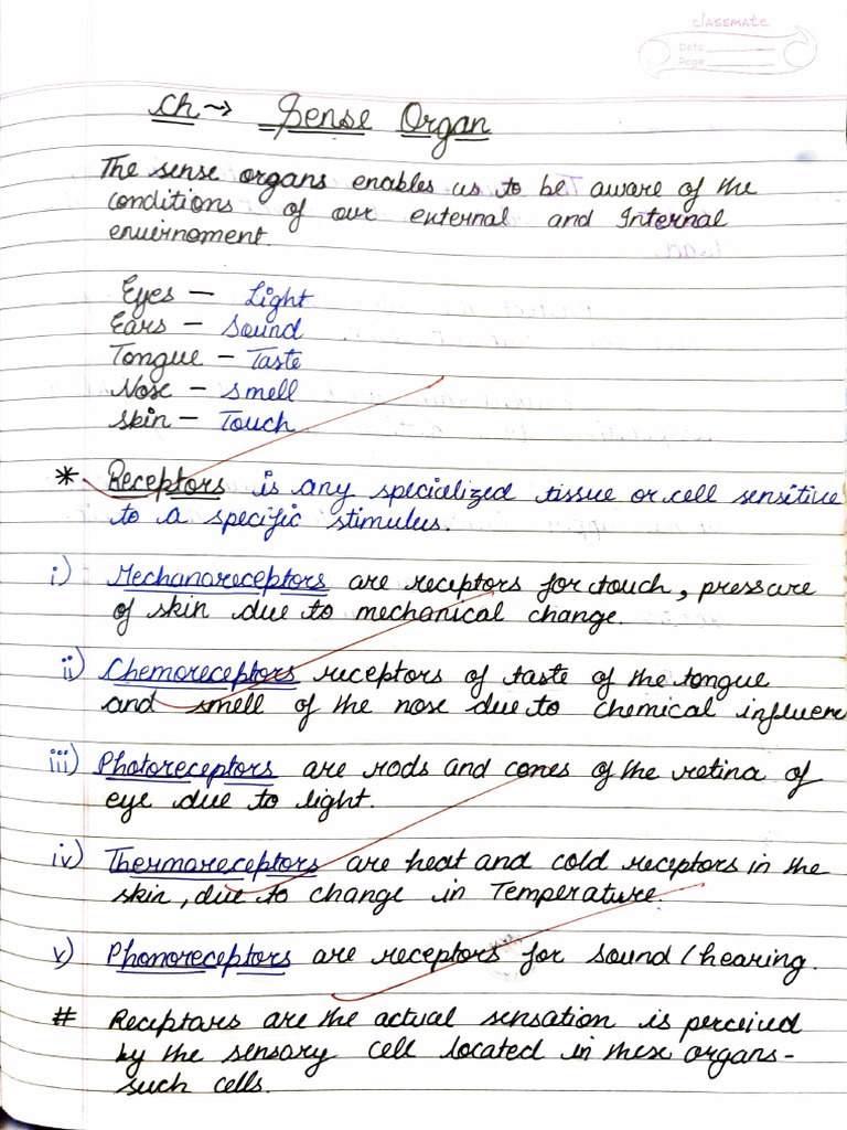 sense organs. | PDF | Visual System | Human Eye