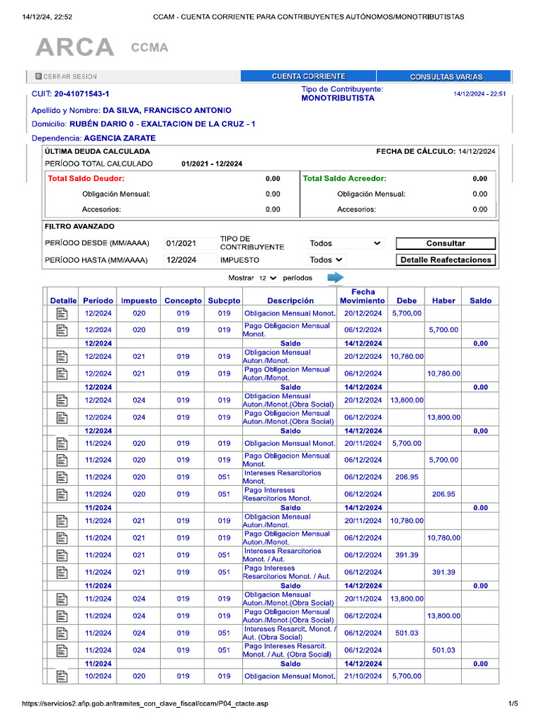 Comprobante de Pago Afip | PDF