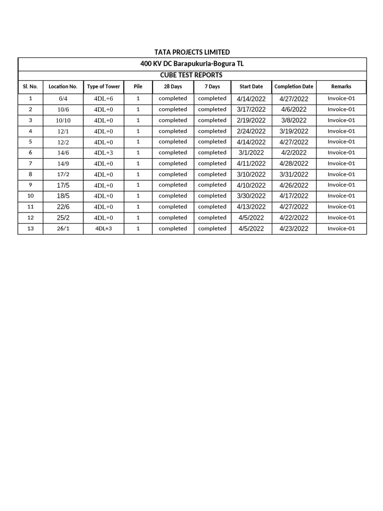 Invoice E-001 Submission | PDF