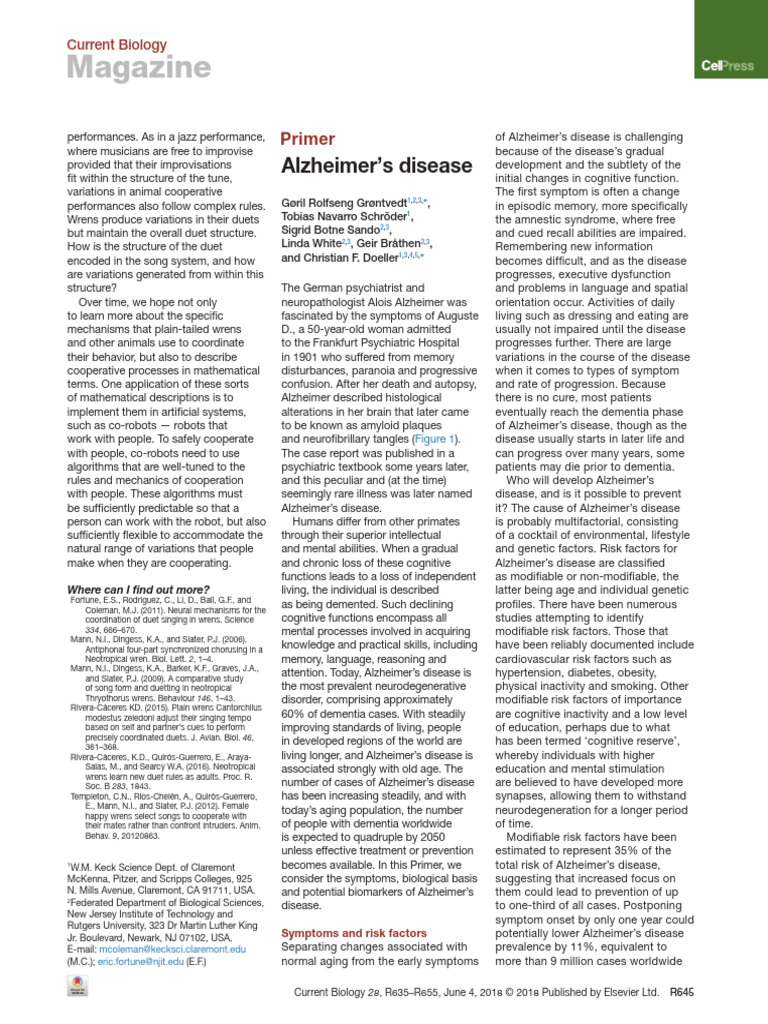 Primer AD | PDF | Alzheimer's Disease | Hippocampus