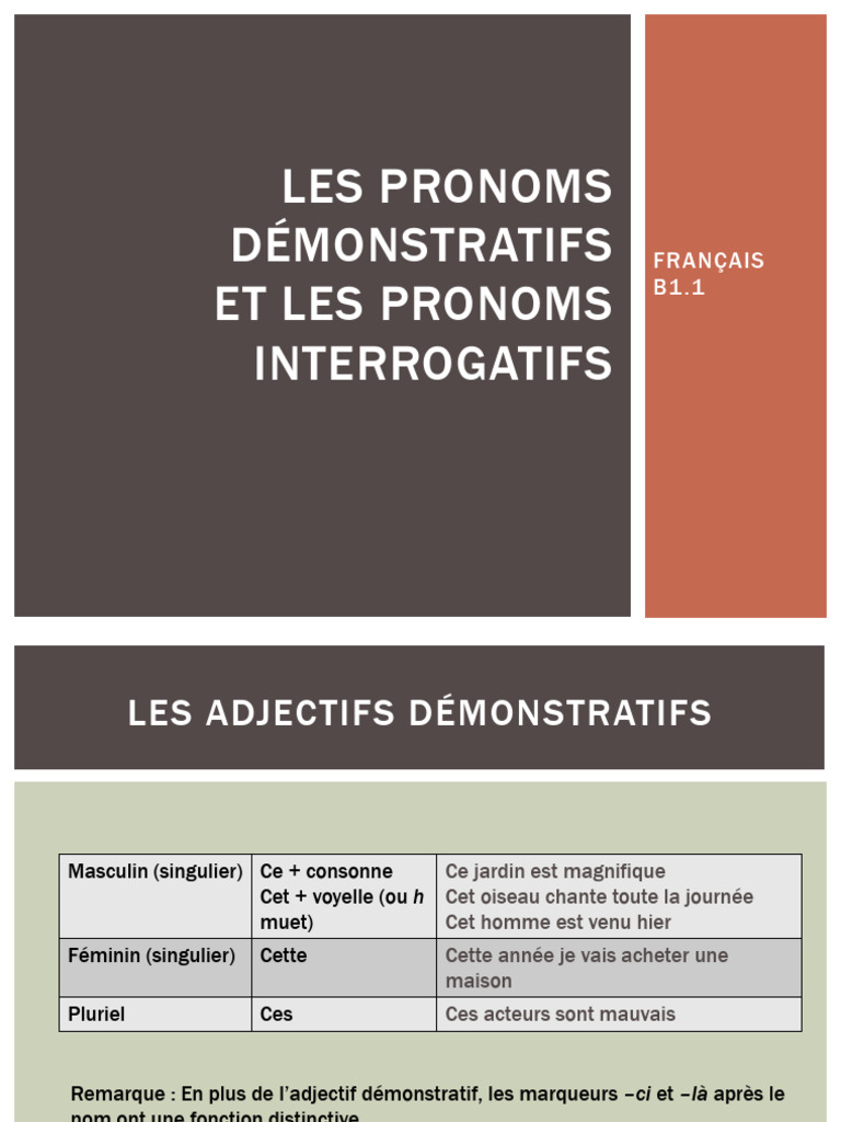 Les Pronoms Démonstratifs Et Interrogatifs | PDF | Pronom | Genre ...
