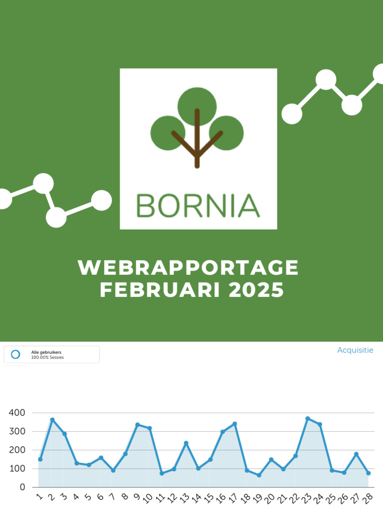 Webrapportage Bornia | PDF