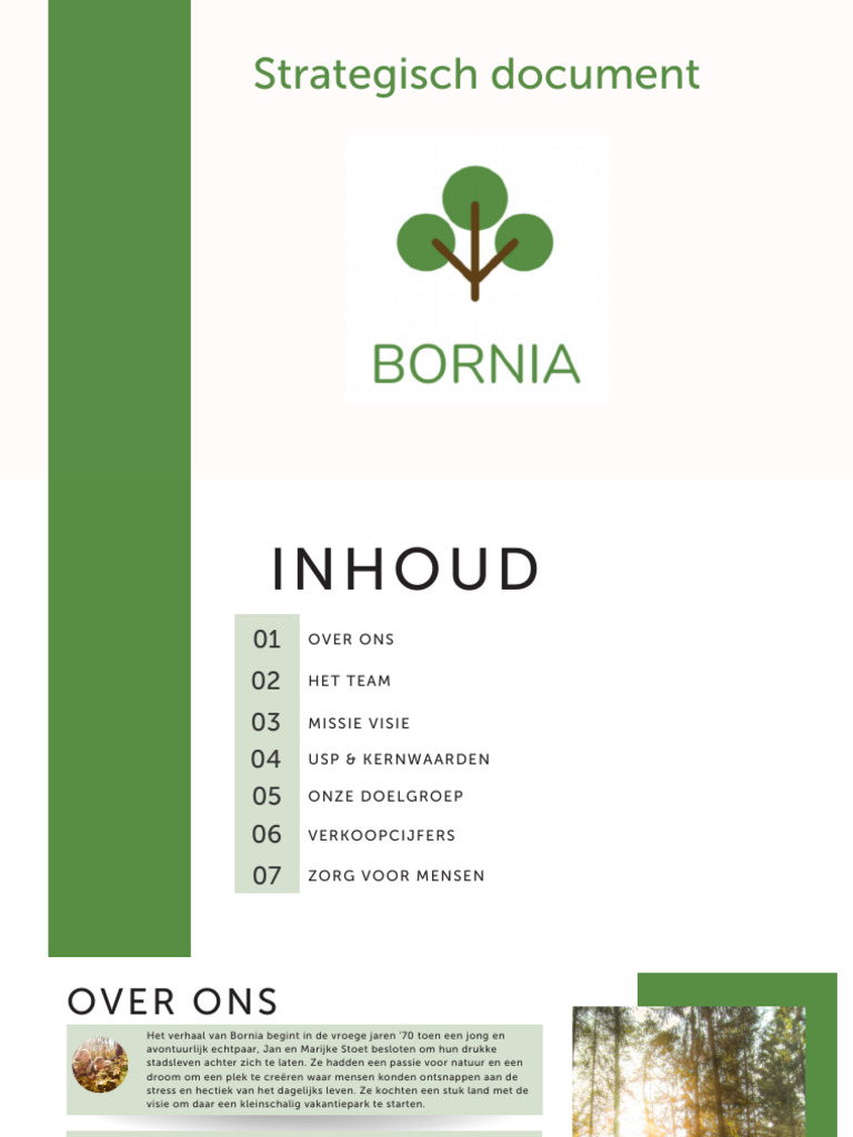 Strategisch_document_Bornia | PDF