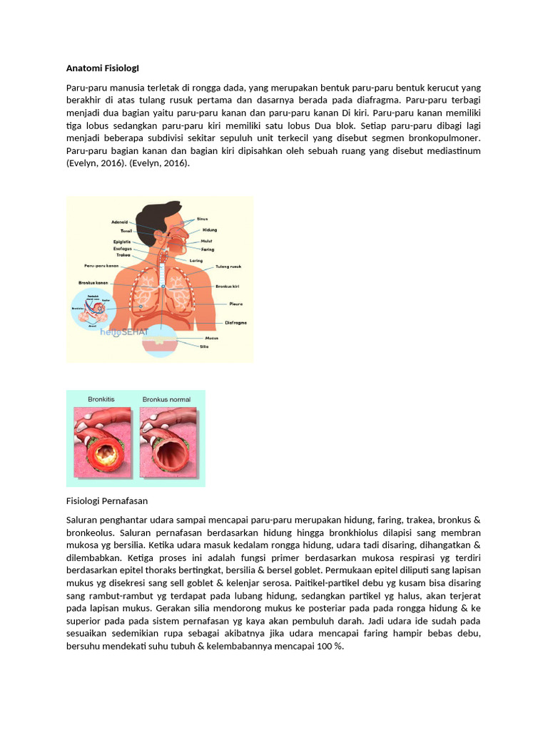 Anatomi,Gejala,Etiologi,Patofiologi,Pathway Asma (1) | PDF