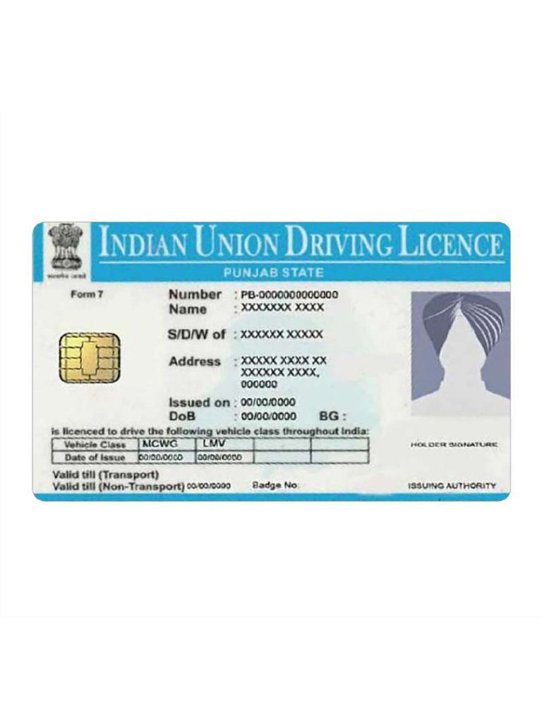 Driver Licence 4 | PDF