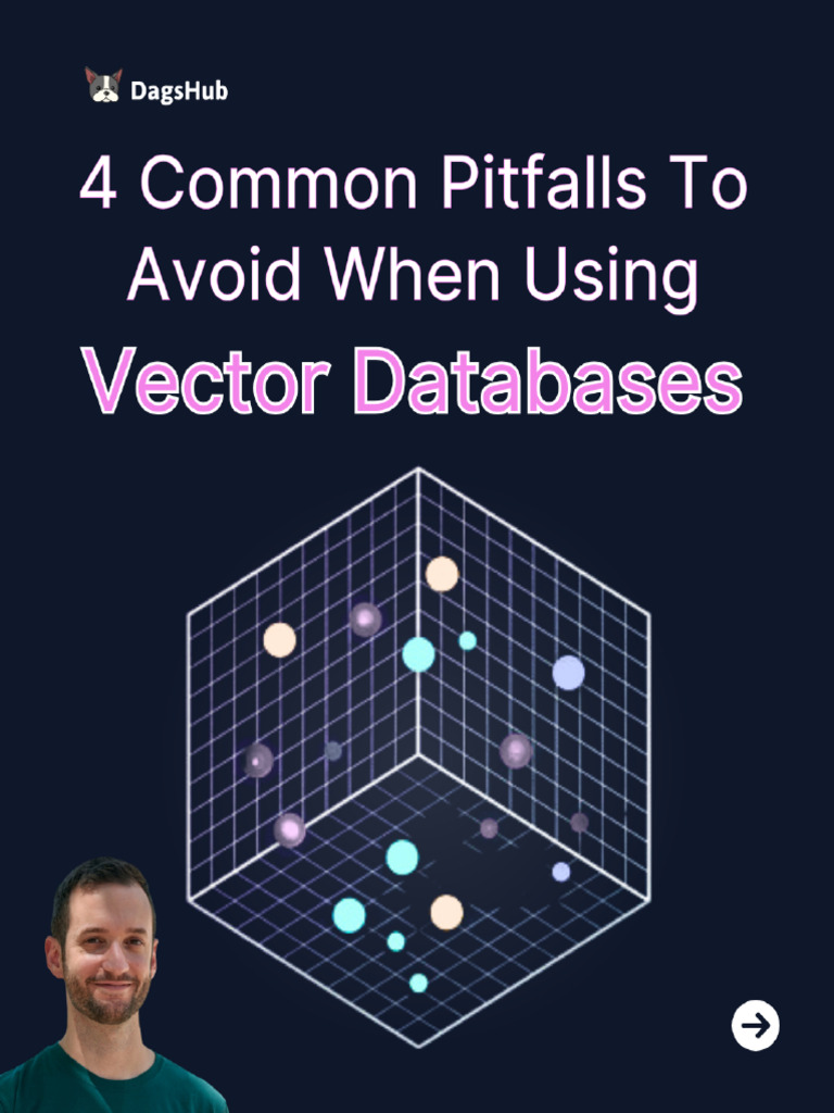 Common Pitfalls when Using Vectorial Data Bases | PDF