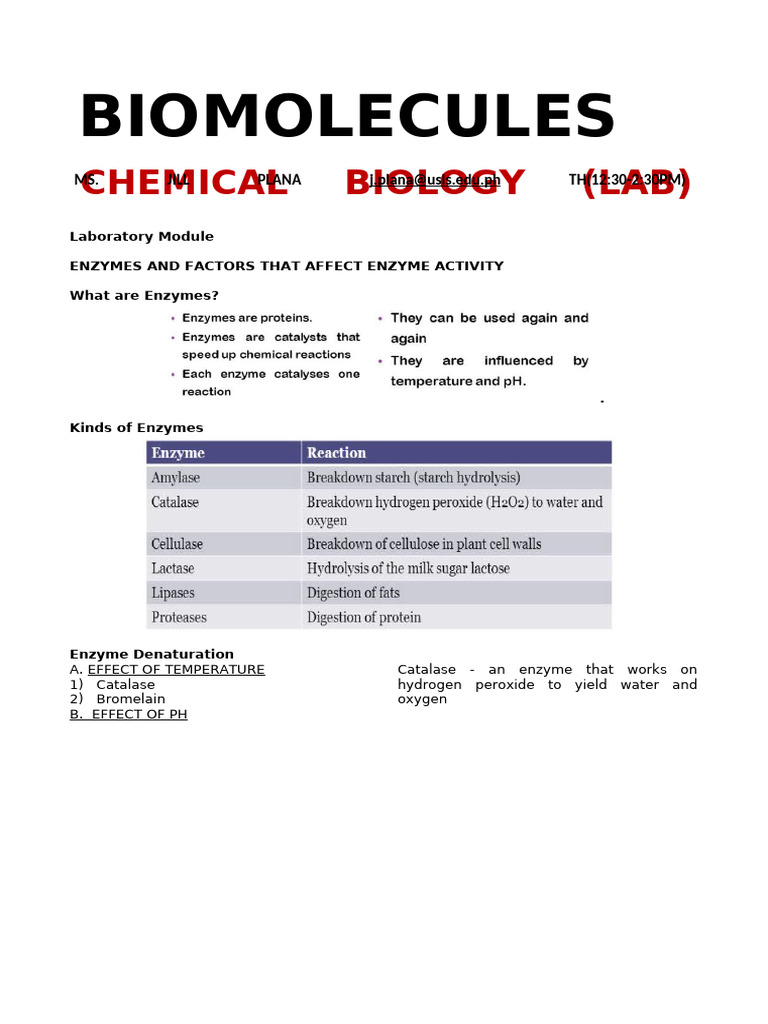 LAB 5 Enzymes | PDF