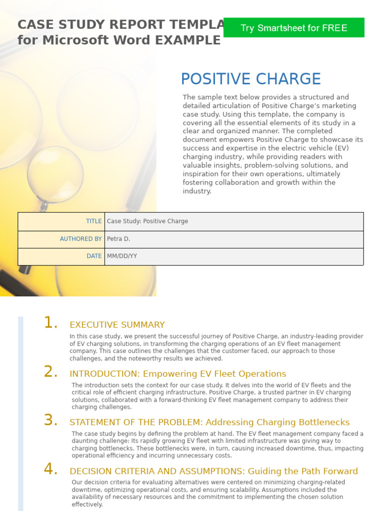 IC Case Study Report Template For Microsoft Word Example - WORD | PDF