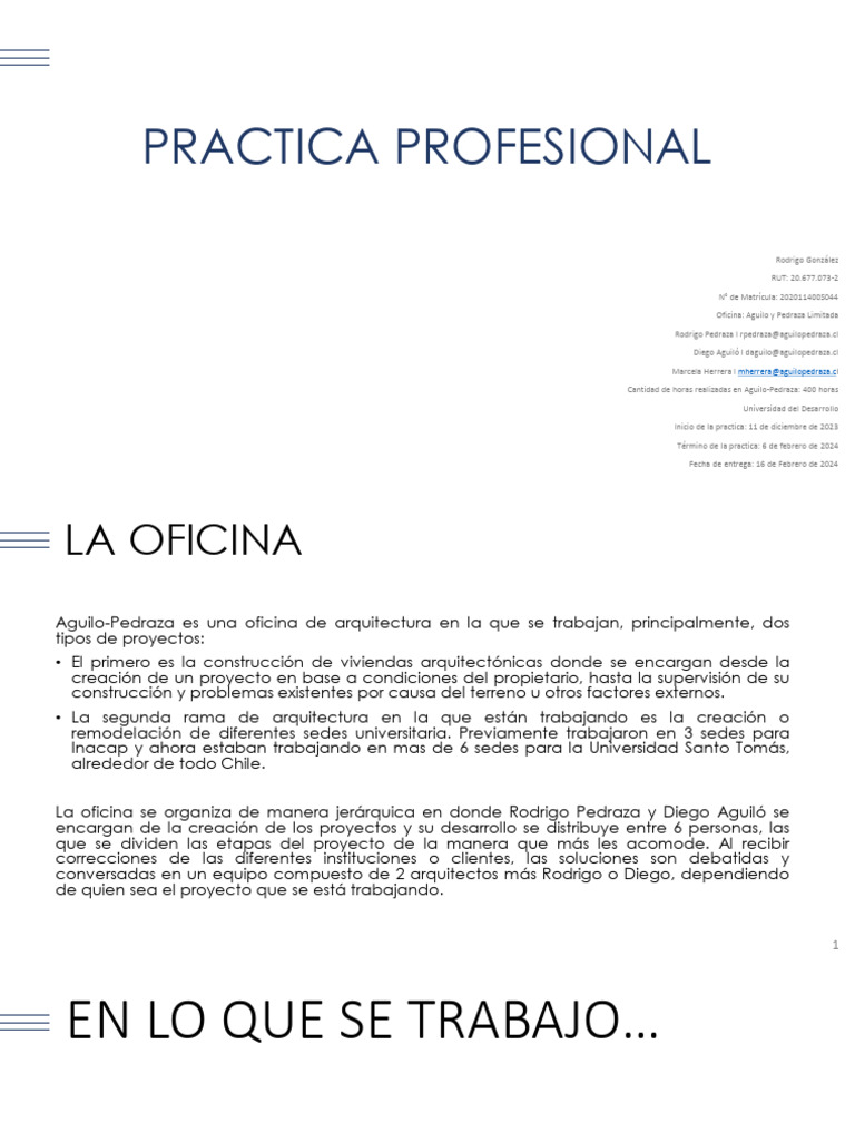 Informe Practica Profesional | PDF