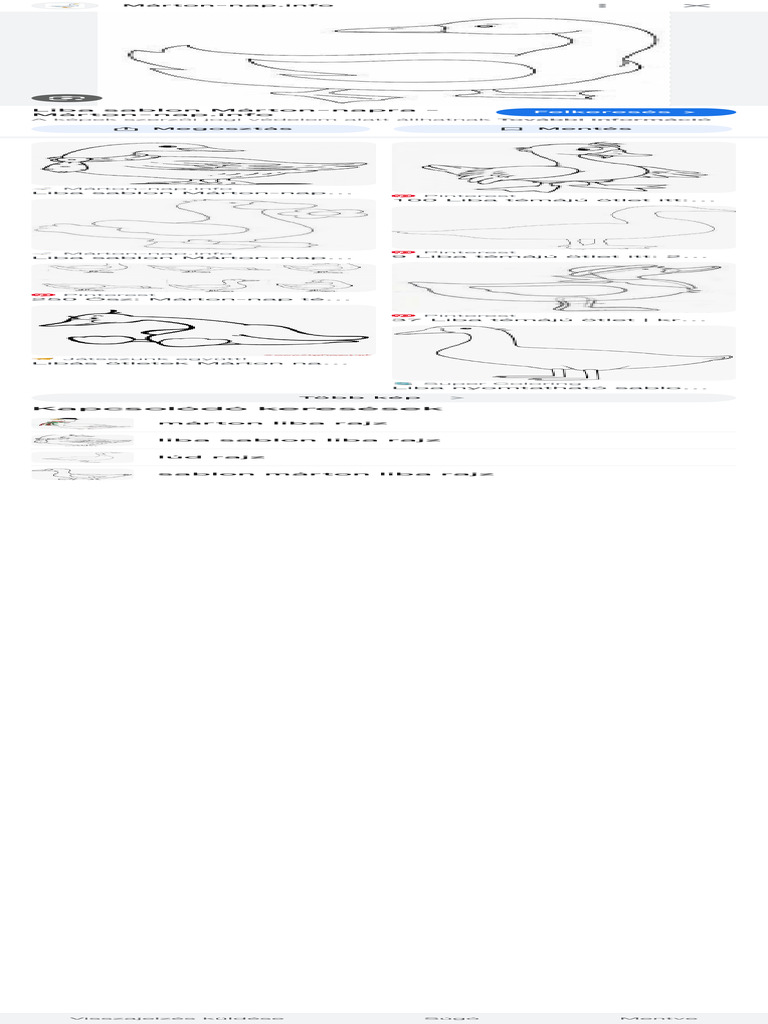 Liba Rajz - Google-Keresés | PDF