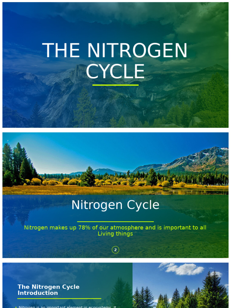 THE-NITROGEN-CYCLE | PDF | Nitrogen | Chemical Substances