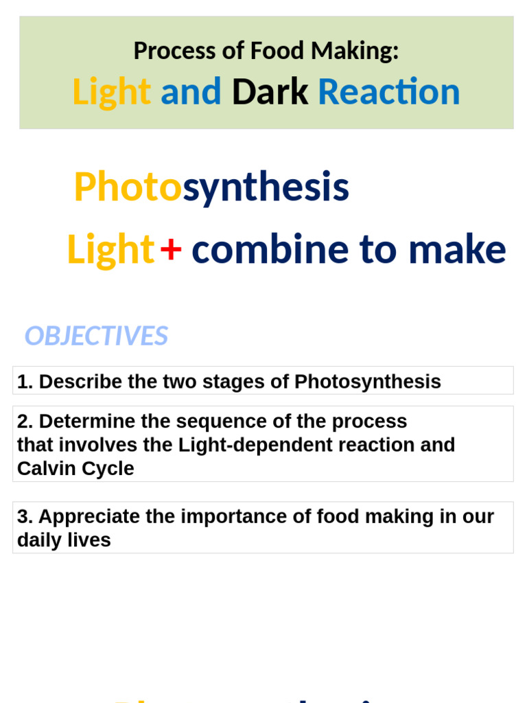 Photosynthesis: Light and Dark Reactions | PDF