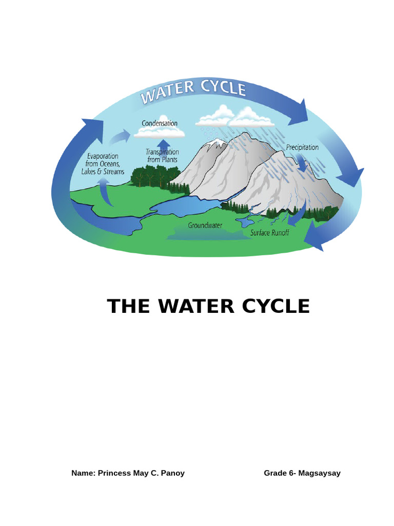PRINCESS WATER CYCLE | PDF | Water | Water Cycle
