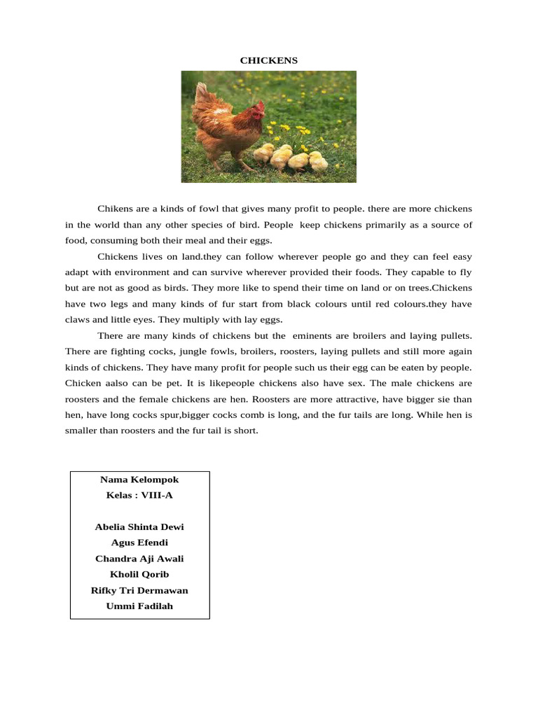 Understanding Chickens: Types and Benefits | PDF