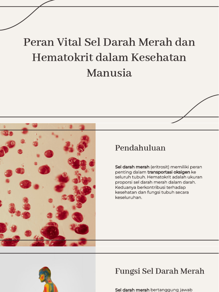 ataufik-peran-vital-sel-darah-merah-dan-hematokrit- | PDF