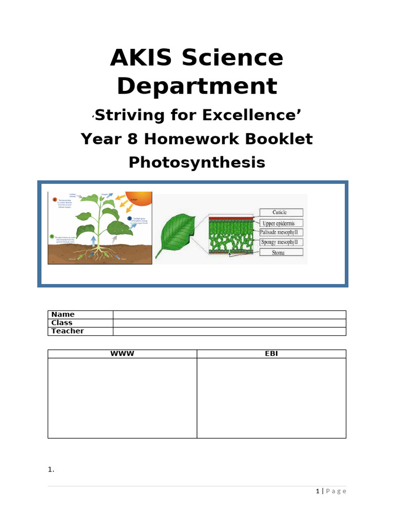 Year 8 Photosynthesis Homework | PDF