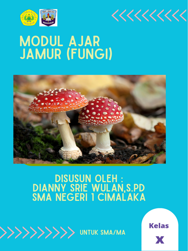 Modul Ajar Jamur (Fungi) | PDF