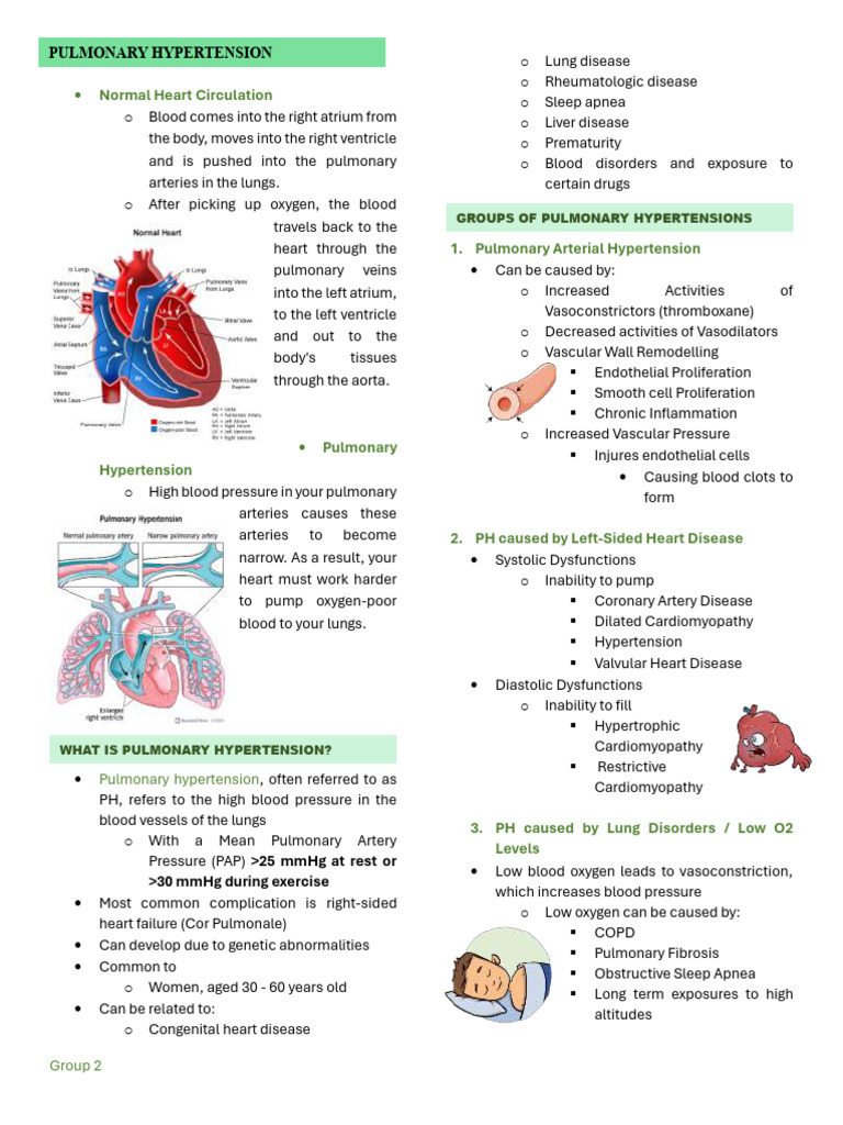 Pulmonary Hypertension - Group 2 | PDF | Heart | Hypertension