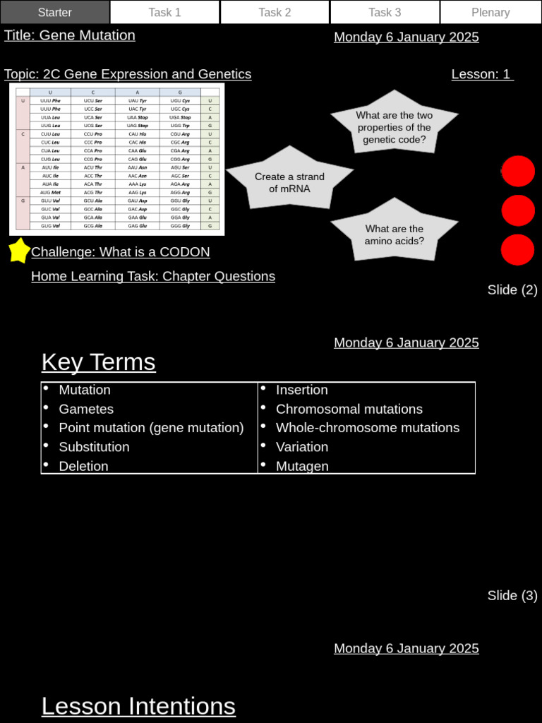 Understanding Gene Mutations and Effects | PDF | Point Mutation | Genetic Code