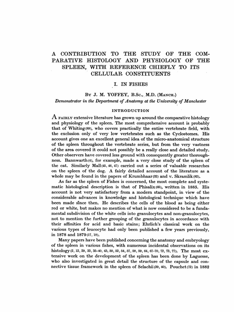 Yoffey_1929 | PDF | Staining | Spleen
