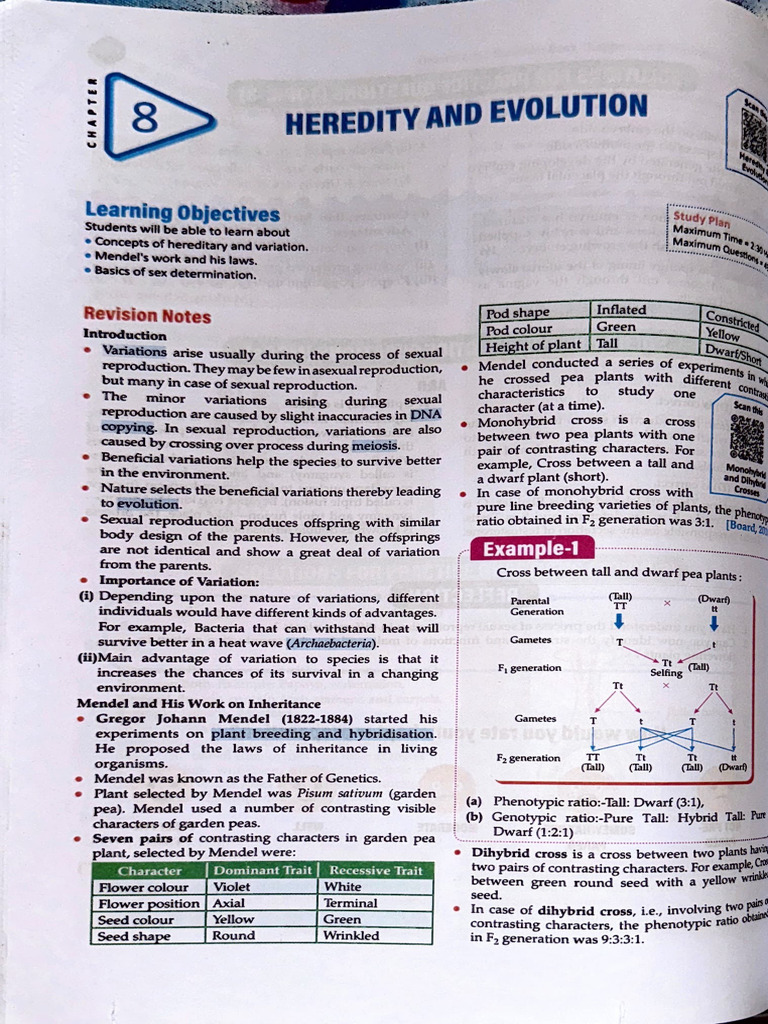 Heredity & Evolution for Students | PDF | Sex | Dominance (Genetics)