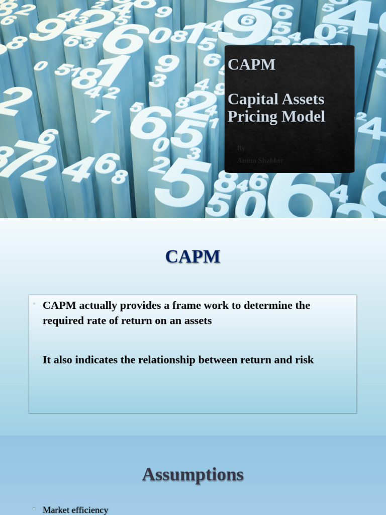 Understanding CAPM: Risk and Return | PDF