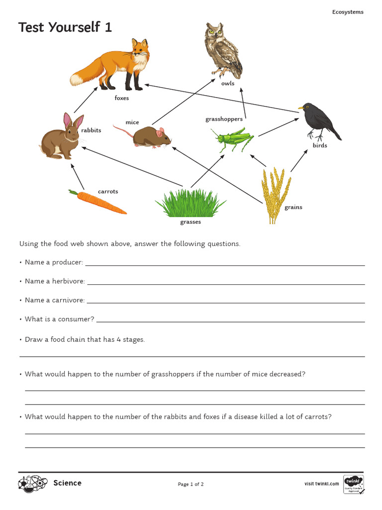 Ecosystems Test Yourself 1 | PDF | Foods | Insecticide