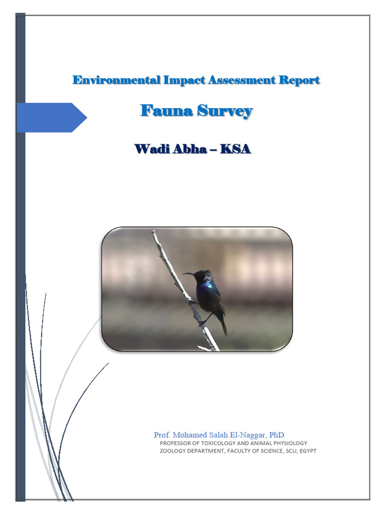 Wadi Abha Fauna Survey Report | PDF | Biodiversity | Endangered Species