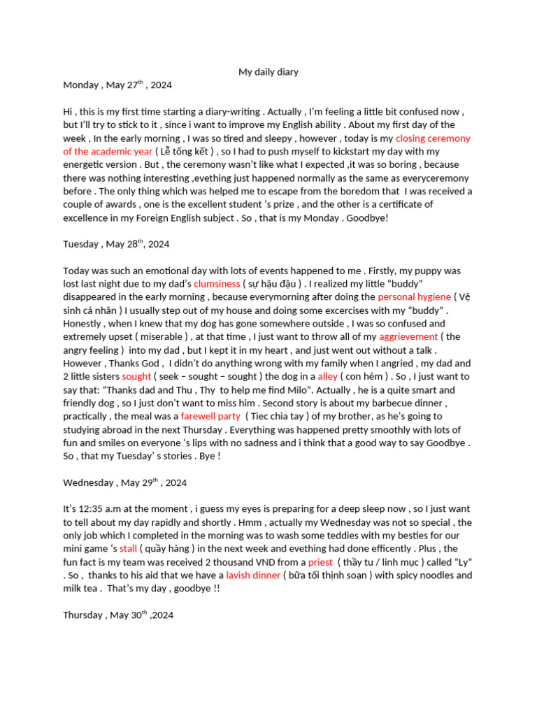 My Daily Diary | PDF