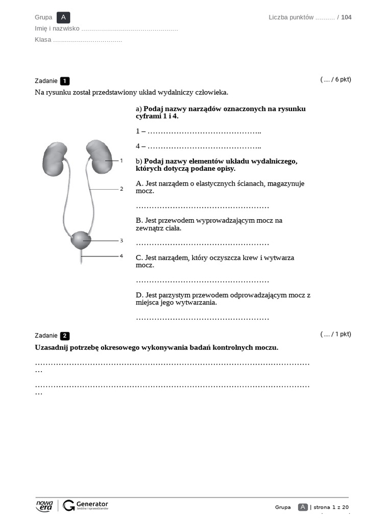 Układ Wydalniczy | PDF