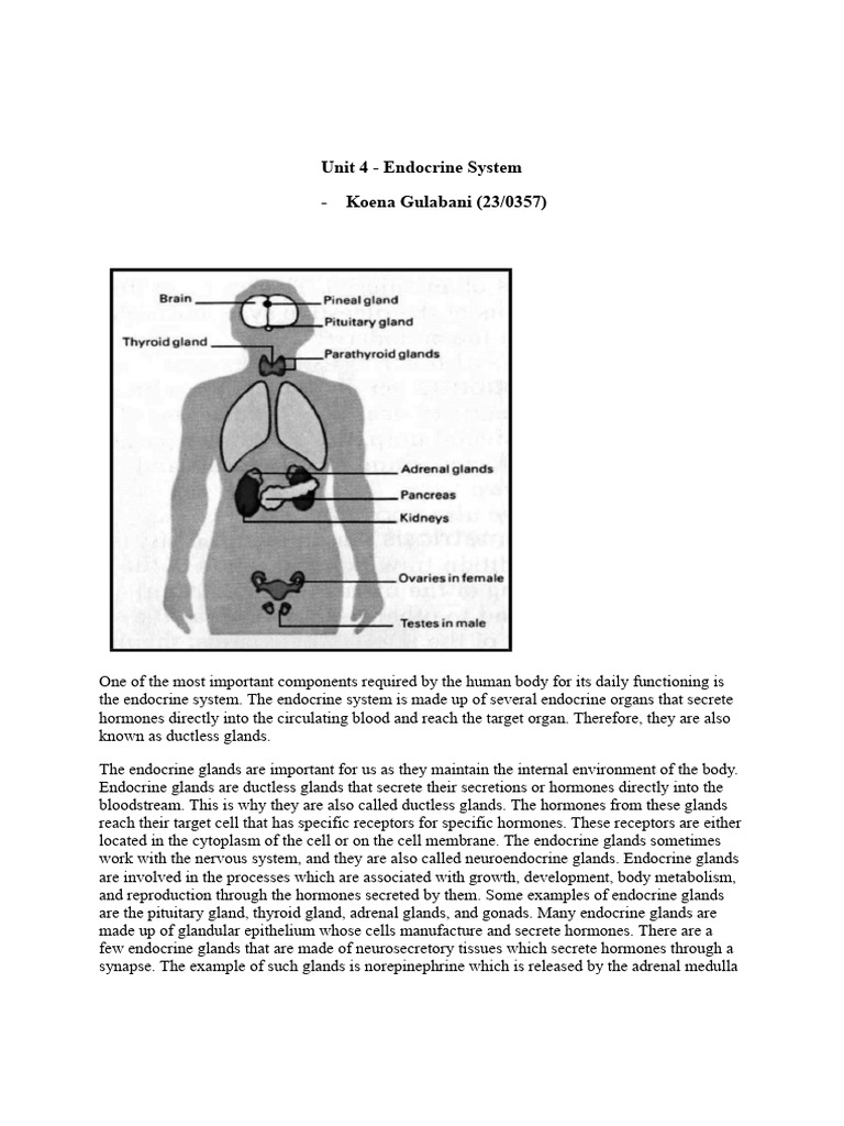 unit 4 (2) | PDF | Adrenal Gland | Luteinizing Hormone