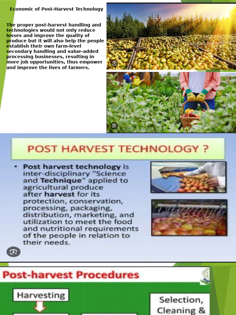 Presentation 5 2 | PDF