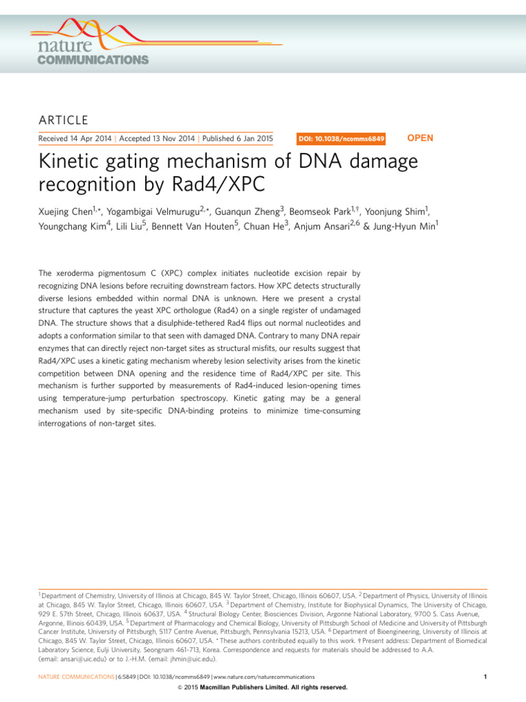 Kinetic Gating Mechanism of DNA Damage Recognition by Rad4/XPC | PDF ...