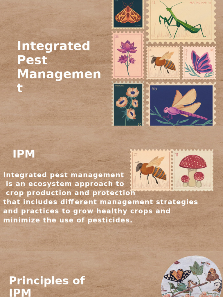 Integrated Pest Management Strategies | PDF | Pesticide | Pest Control