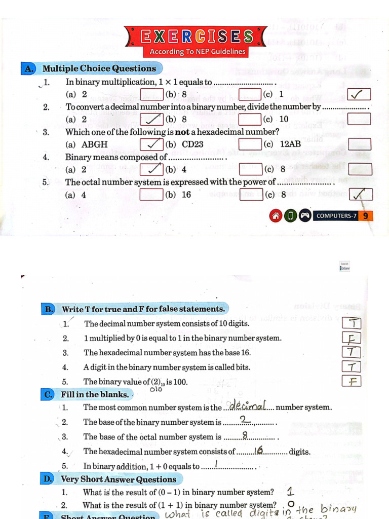 Computer Grade 7 Chapter 1,2,3&5 Exercise | PDF