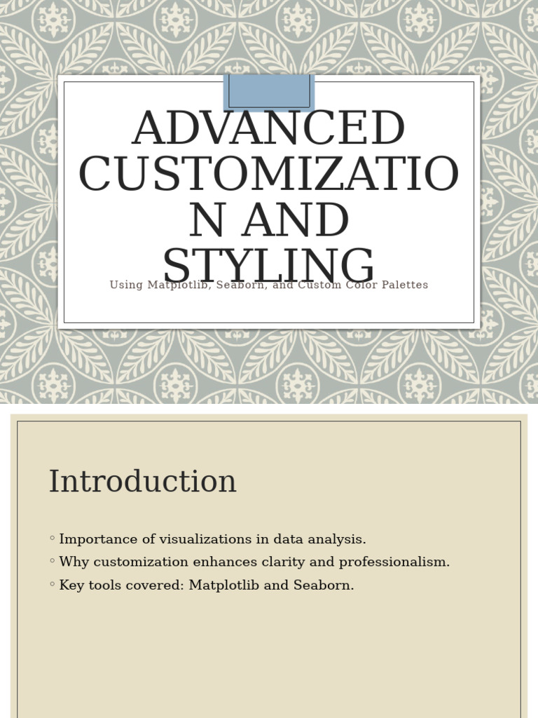 Advanced Customization Styling Presentation | PDF | Graphic Design