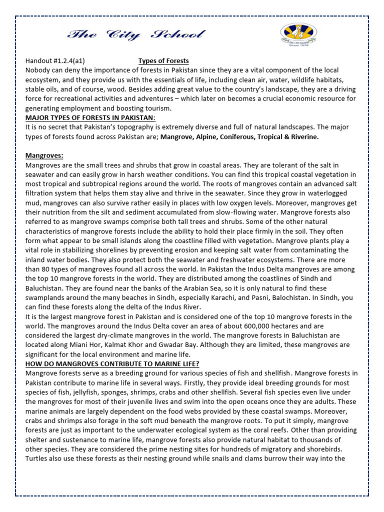 Types of Forests Handout-1 | PDF | Mangrove | Forests