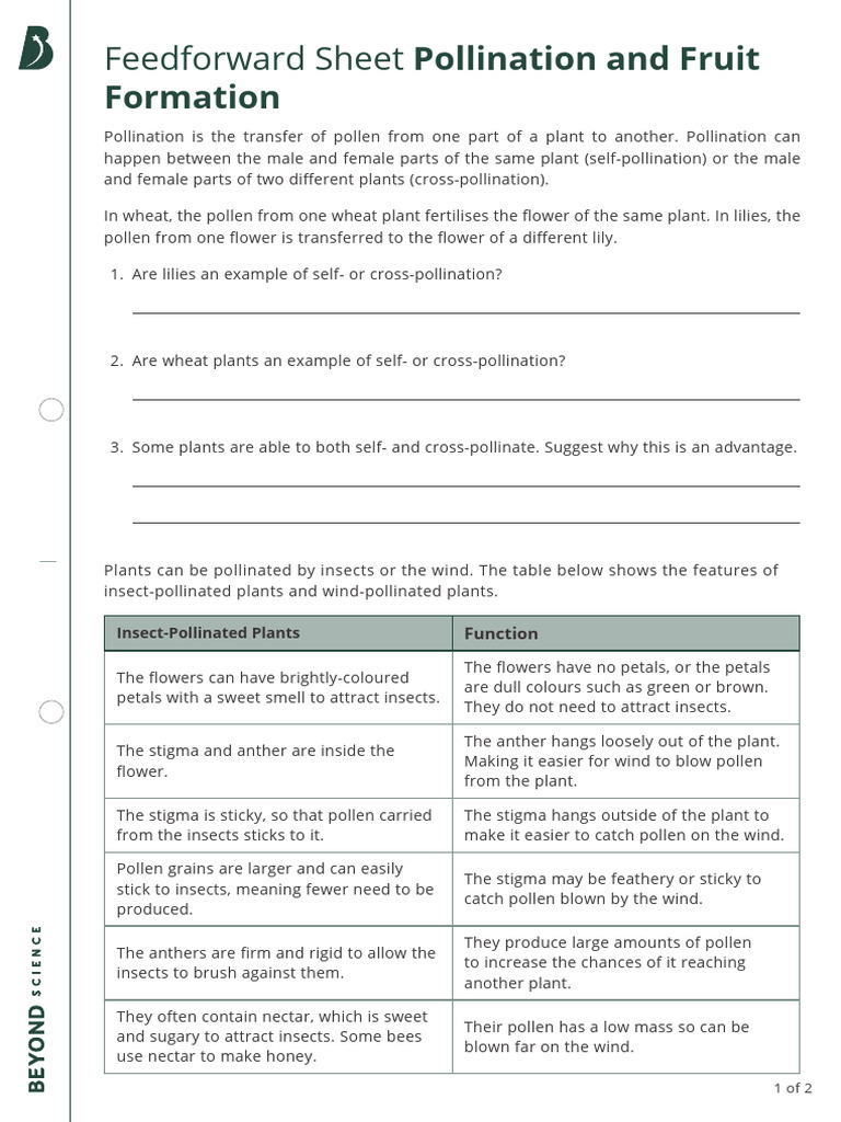 Feedforward Pollination | PDF | Flowers | Pollination