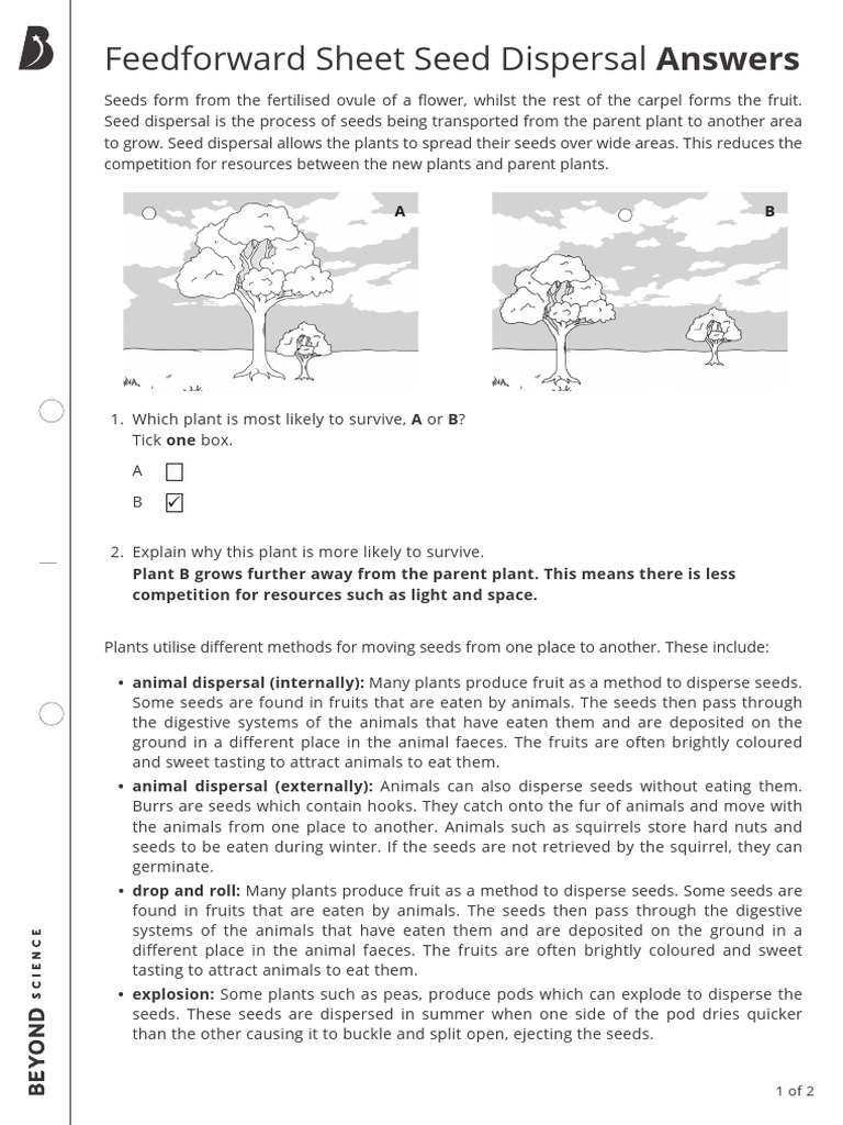 Feedforward Seed Dispersal - Answers | PDF | Seed | Fruit
