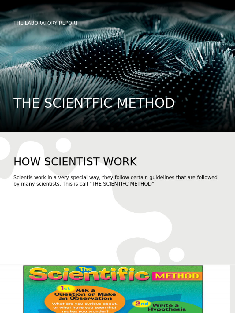 Understanding the Scientific Method | PDF