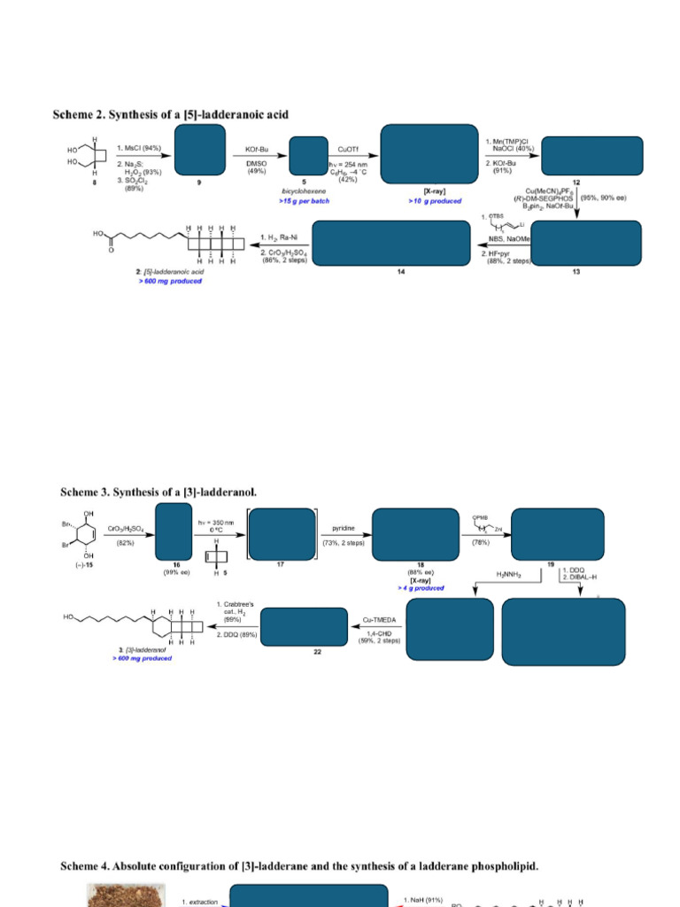 Ladderane | PDF