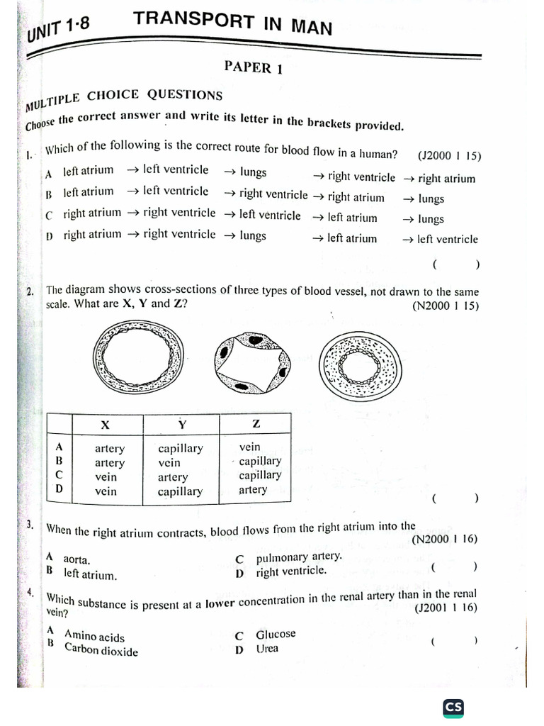 Transport in Humans, Worksheet | PDF