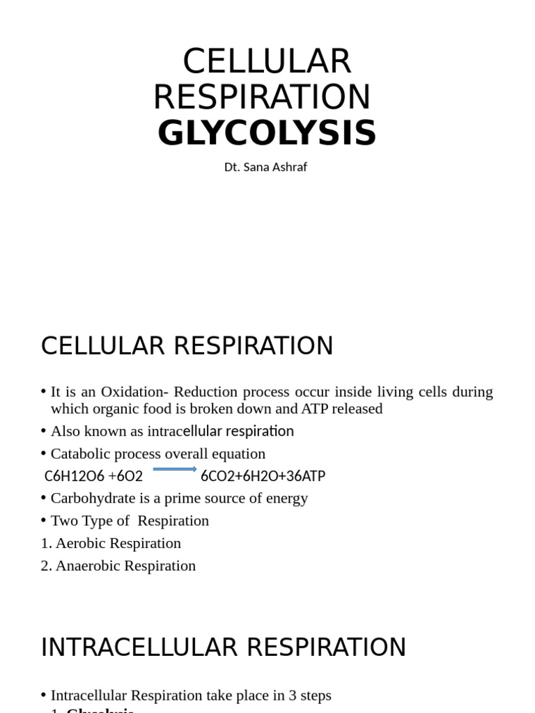 Lect 6 Cellular Respiration Final 2 | PDF | Cellular Respiration ...